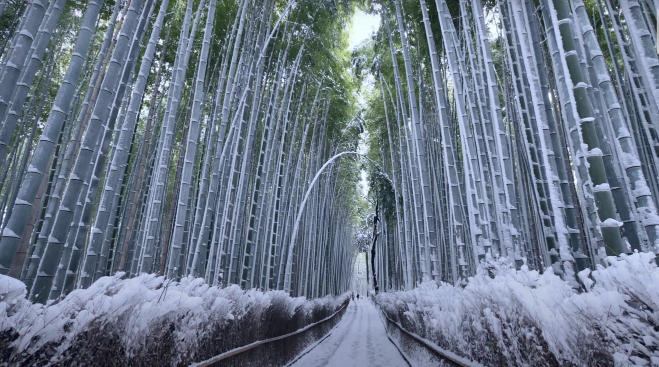 2025 Edition: 5 Stunning Winter Views in Arashiyama You Can't Miss